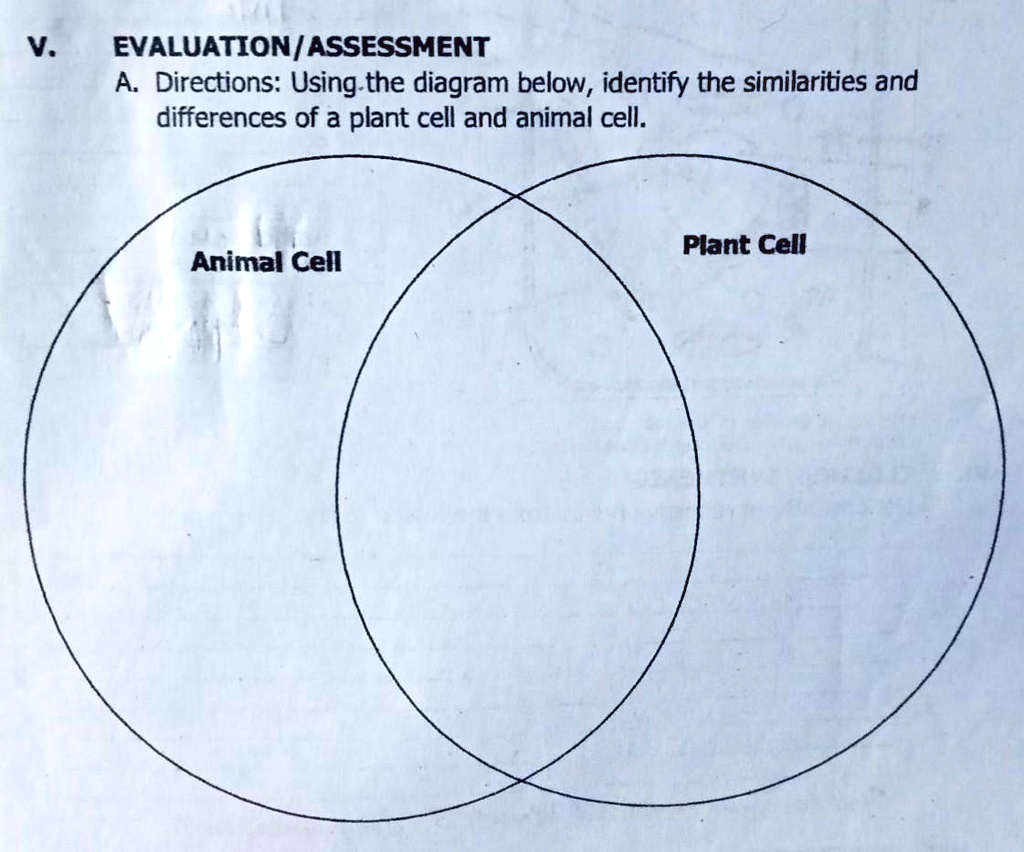 SOLVED: Guys, help please. Thank you. EVALUATION / ASSESSMENT A ...