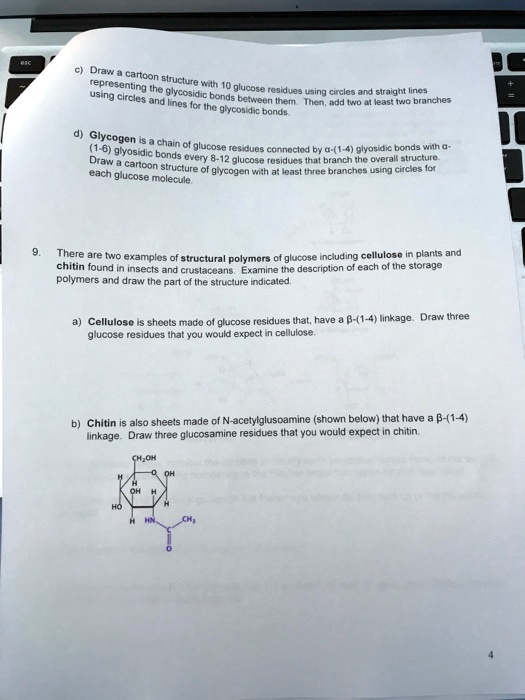 SOLVED: Draw cartoon rpteeanting uclut Kh the glycosidiC nlucare using ...
