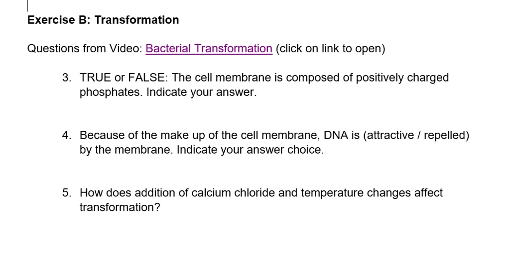 SOLVED: Exercise B: Transformation Questions from Video: Bacterial ...
