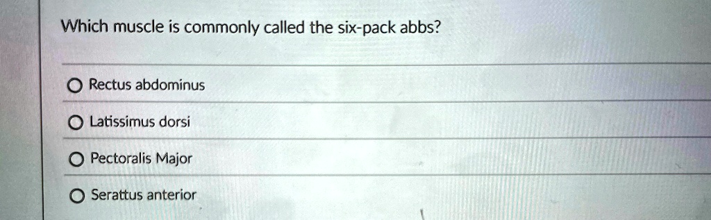 Which muscle is commonly called the six-pack abbs? Rectus abdominus ...