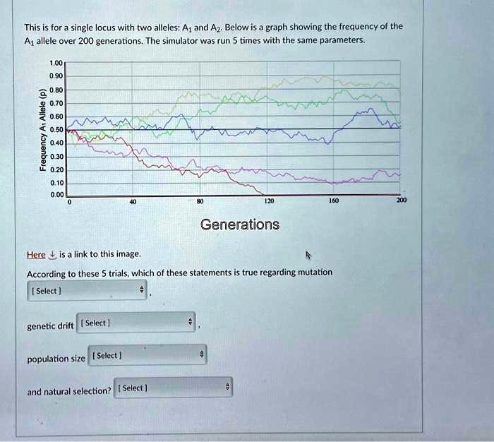 Texts: This is for a single locus with two alleles: A and Az. Below is ...