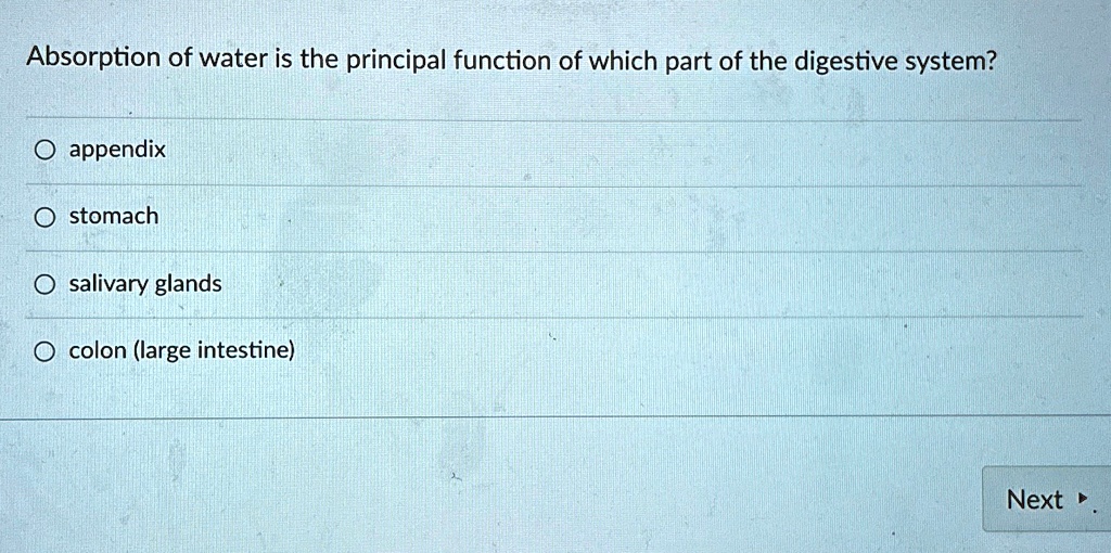 Absorption of water is the principal function of which part of the ...