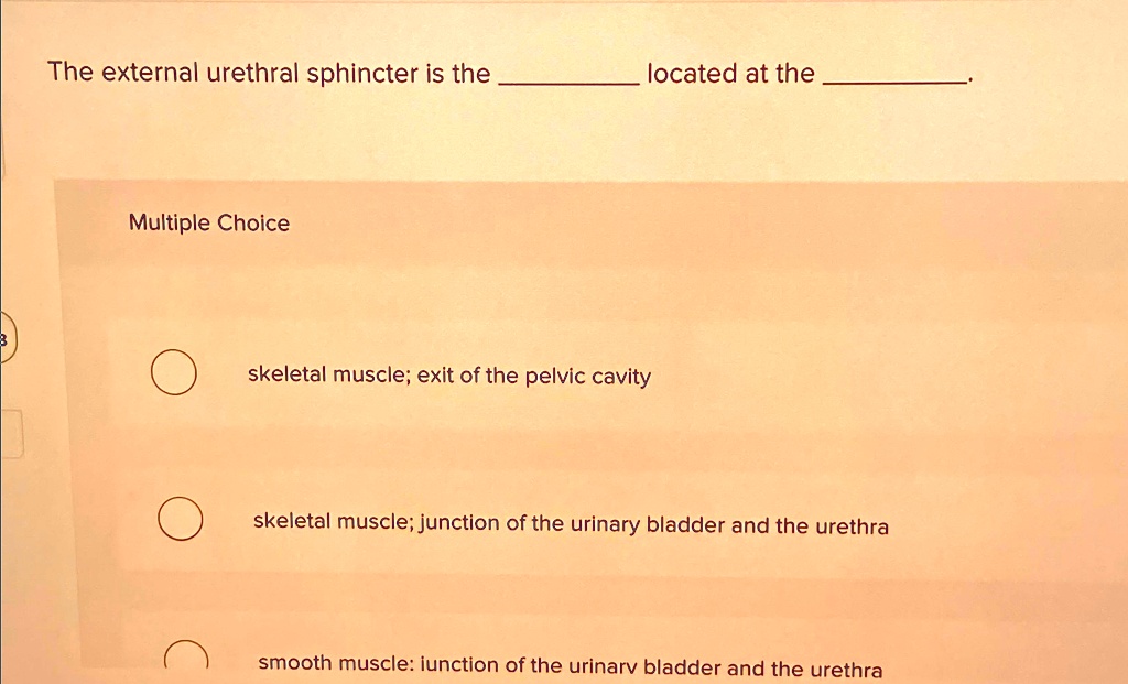 The external urethral sphincter is the located at the Multiple Choice skeletal muscle; exit of ...