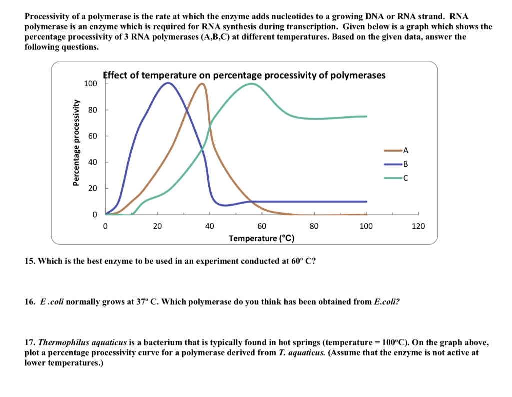 processivity of polymerase is the rate at which the enzyme adds ...