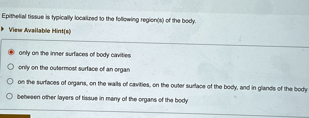 Epithelial tissue is typically localized to the following region(s) of ...