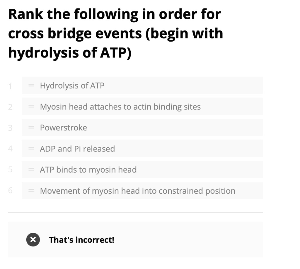 SOLVED: Texts: Rank the following in order for cross bridge events ...