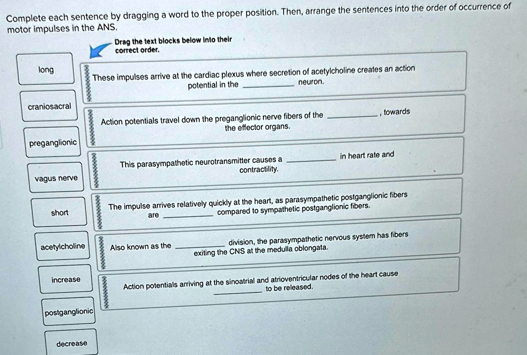 Complete each sentence by dragging a word to the proper position. Then ...