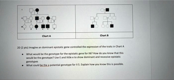 Chart A Chart B 2D (2 pts) Imagine an dominant epistatic...