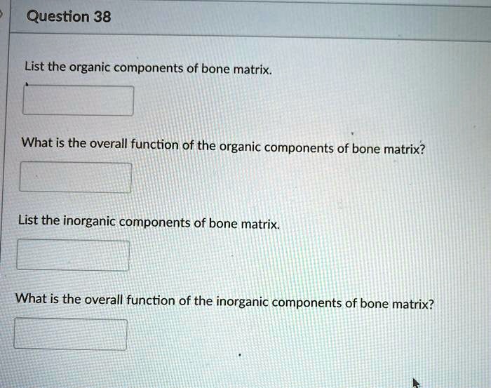 SOLVED: Question 38 List the organic components of bone matrix What is ...