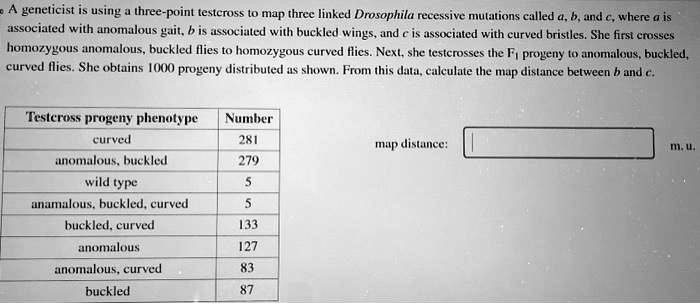 Texts: A geneticist is using a three-point testcross to map three ...