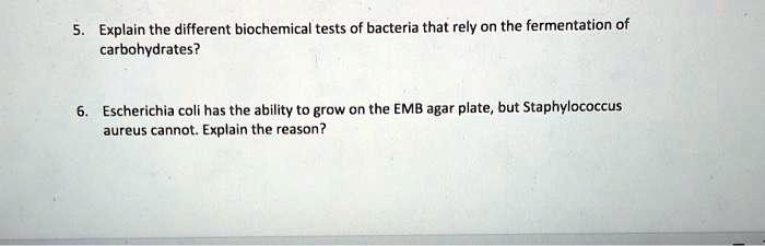 explain the different biochemical tests of bacteria that rely on the ...