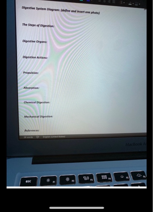 Digestive System Diagram: (define and insert one photo) The Steps of ...