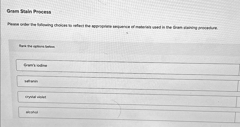 Gram Stain Process Please order the following choices to reflect the ...
