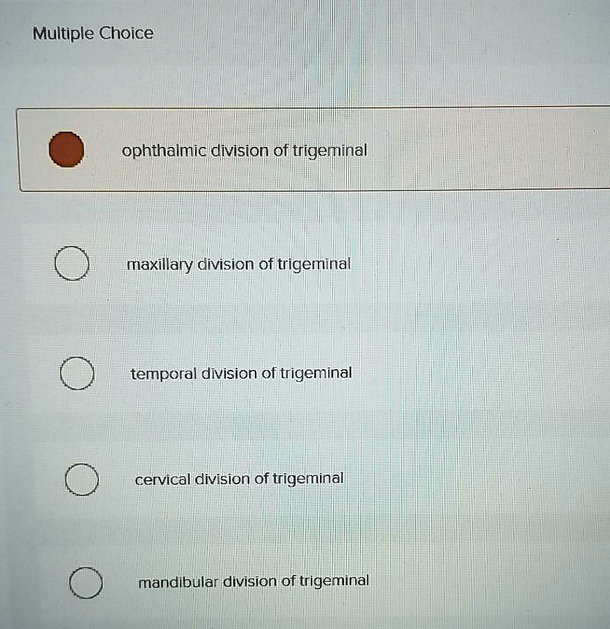 SOLVED: Ophthalmic division of trigeminal Maxillary division of ...