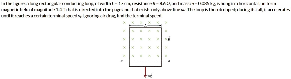 SOLVED: In the figure, a long rectangular conducting loop of width L = 17 cm, resistance R = 8. ...