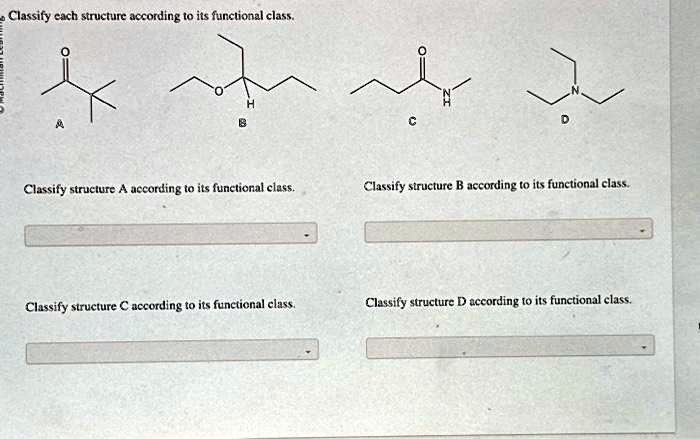 SOLVED: Classify each structure according to its functional class ... SOLVED: Classify each structure according to its functional class ...