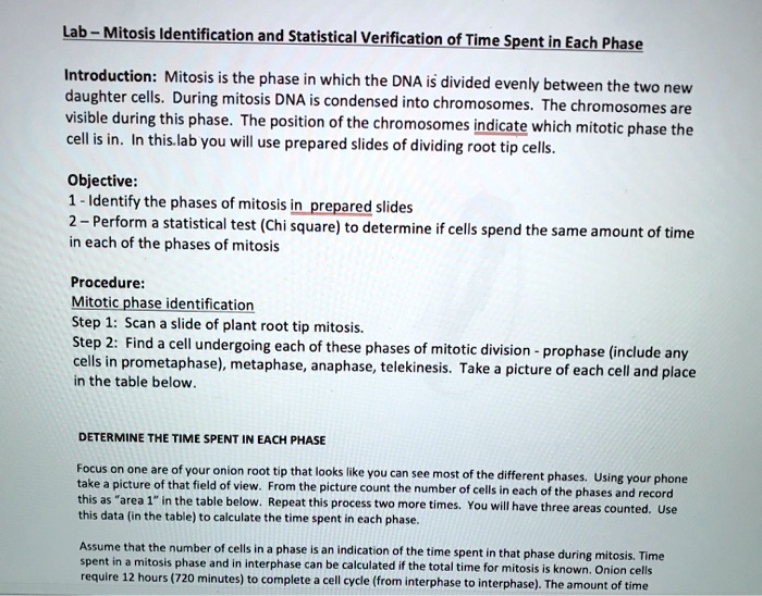 Lab - Mitosis Identification and Statistical Verification of Time Spent ...
