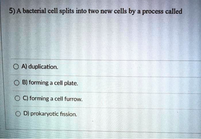 SOLVED: 5) A bacterial cell splits into two new cells by a process ...