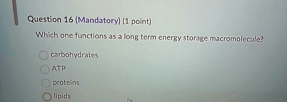 SOLVED: Question 16 (Mandatory) (1 point) Which one functions as a long ...