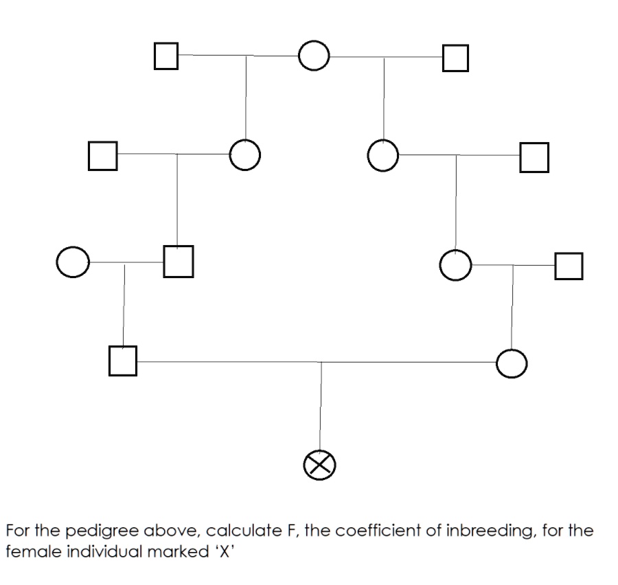 SOLVED: For the pedigree above, calculate F, the coefficient of ...
