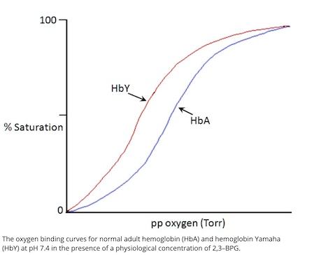 SOLVED: 100 - HbY HbA % Saturation Pp oxygen (Torr) oxygen binding ...