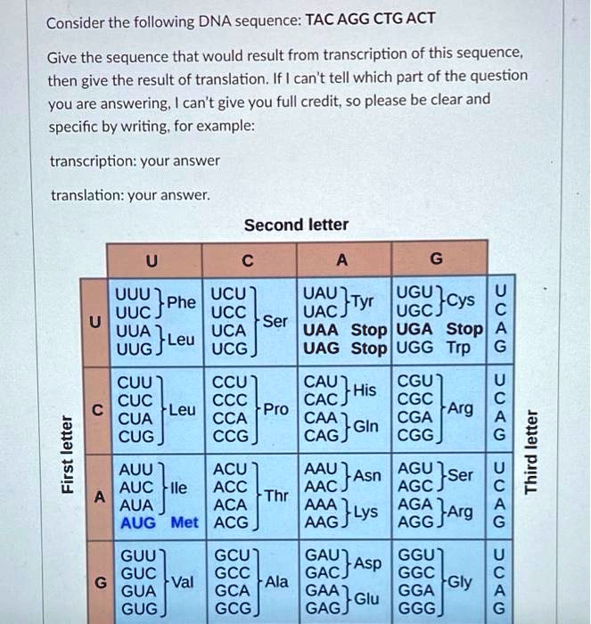 SOLVED: Consider the following DNA sequence: TAC AGG CTG ACT Give the sequence that would result ...