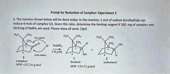 SOLVED: Texts: Prelab for Reduction of Camphor: Experiment 2 1. The ...
