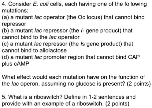 4. Consider E. coli cells, each having one of the following mutations ...