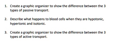 SOLVED: Create a graphic organizer - show the difference between the ...