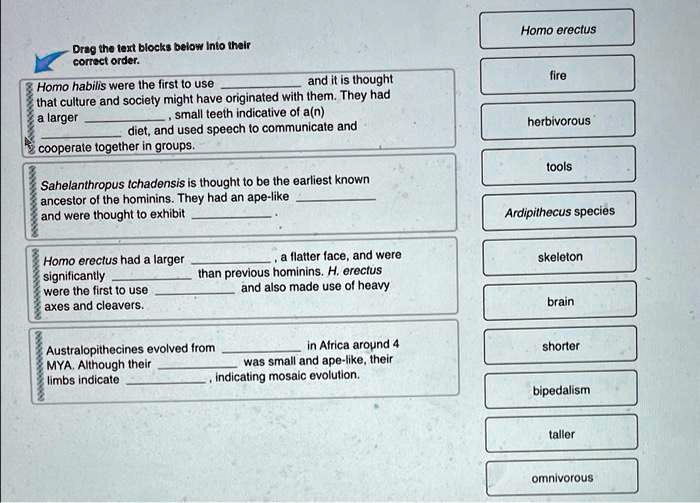 SOLVED: Homo habilis were the first to use tools and it is thought that ...