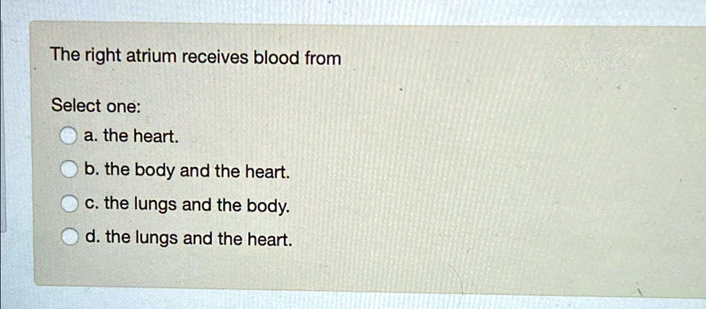 SOLVED: The right atrium receives blood from Select one: a. the heart ...