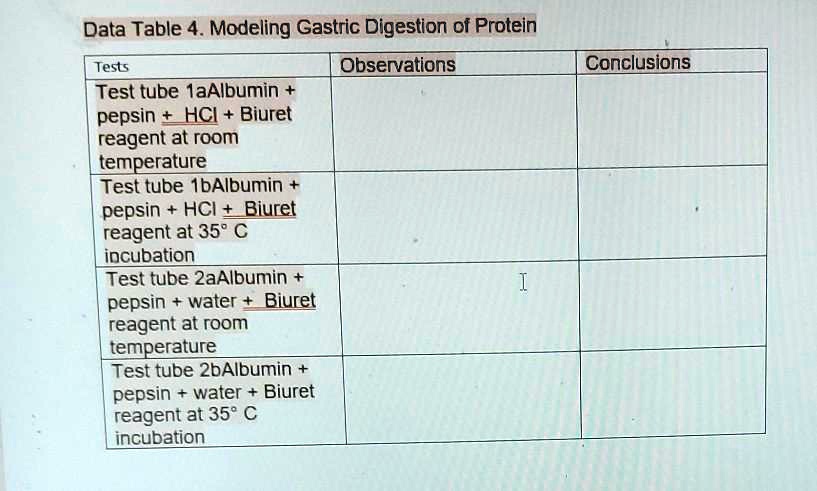 Data Table 4. Modeling Gastric Digestion of Protein Tests Test tube ...