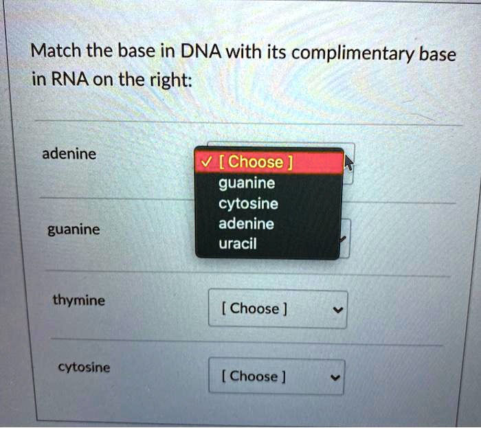 SOLVED: Match the base in DNA with its complimentary base in RNA on the ...