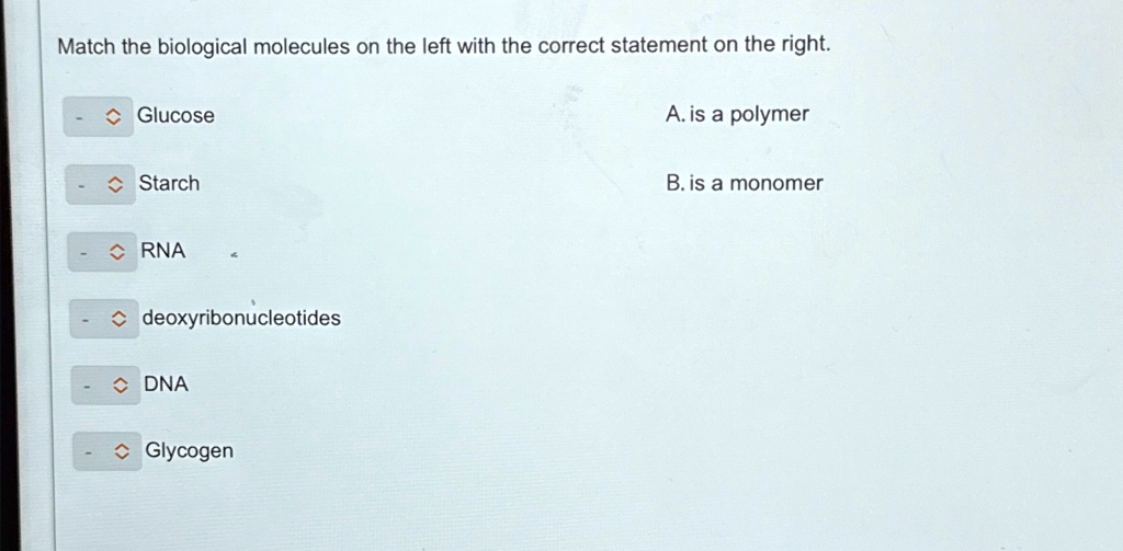 match the biological molecules on the left with the correct statement ...