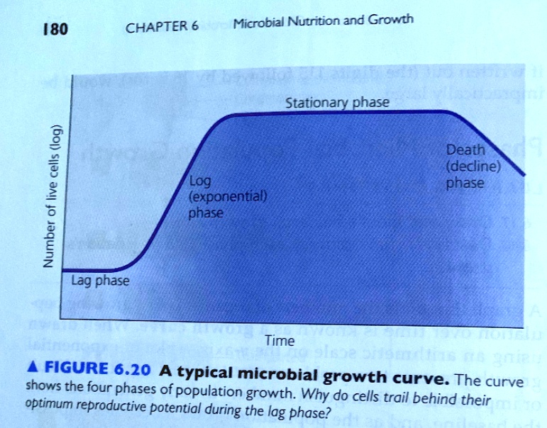 SOLVED: Identify and describe the activities of microorganisms ...