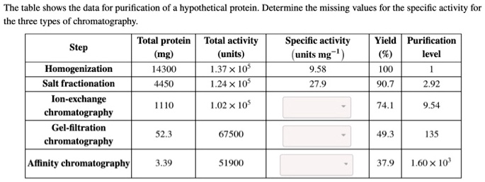 the table shows the data for purilication of hypothetical protein ...