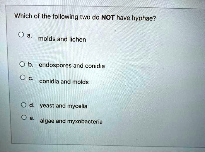 SOLVED:Which of the following two do NOT have hyphae? molds and lichen ...