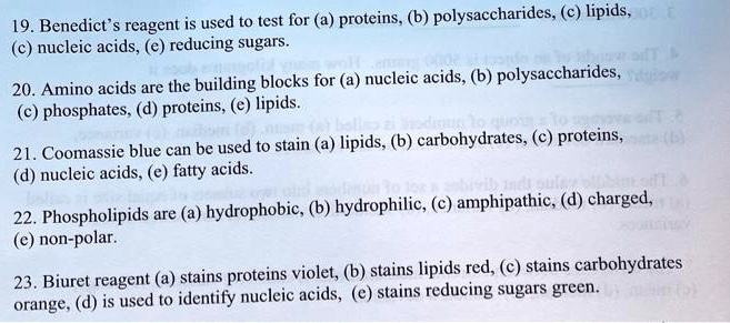 SOLVED: (b) polysaccharides lipids, 19 . Benedict reagent is used to ... SOLVED: (b) polysaccharides lipids, 19 . Benedict reagent is used to ...
