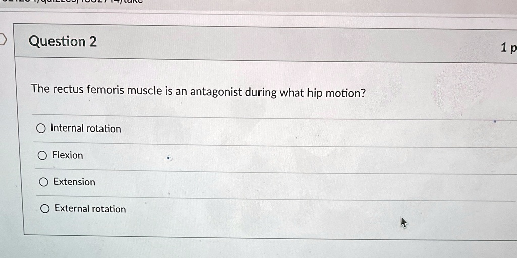 Question 2 The rectus femoris muscle is an antagonist during what hip ...