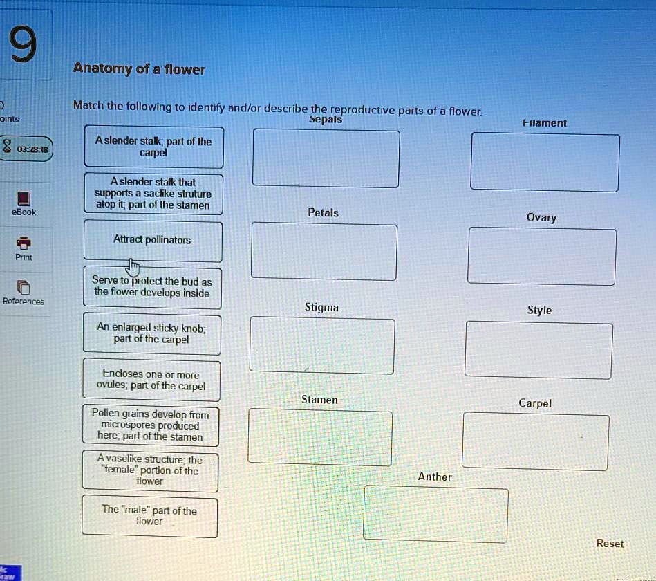 9 anatomy of flower match the following to identify andlor describe the ...