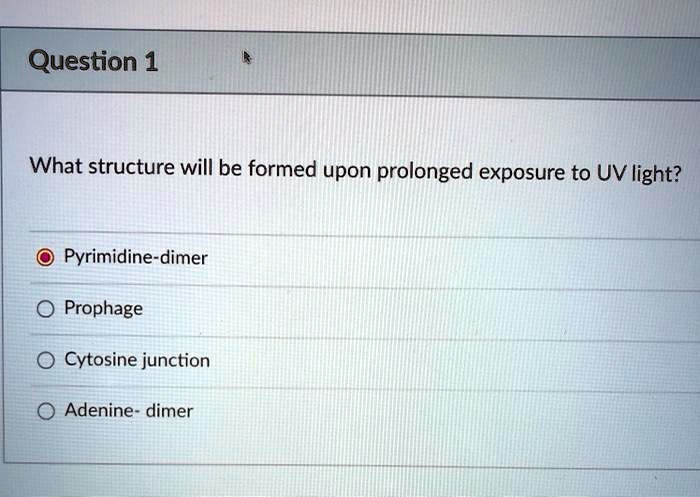 SOLVED:Question 1 What structure will be formed upon prolonged exposure ...