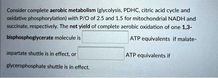 SOLVED:Consider complete aerobic metabolism (glycolysis, PDHC, citric ...