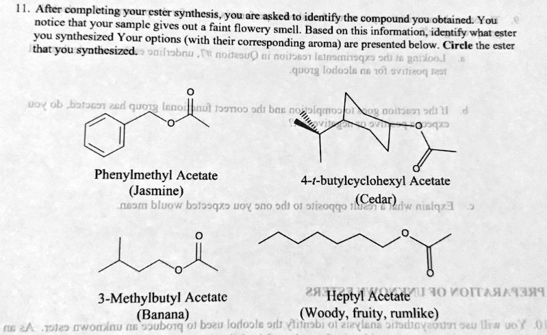 SOLVED: After completing your ester synthesis, you are asked to ...