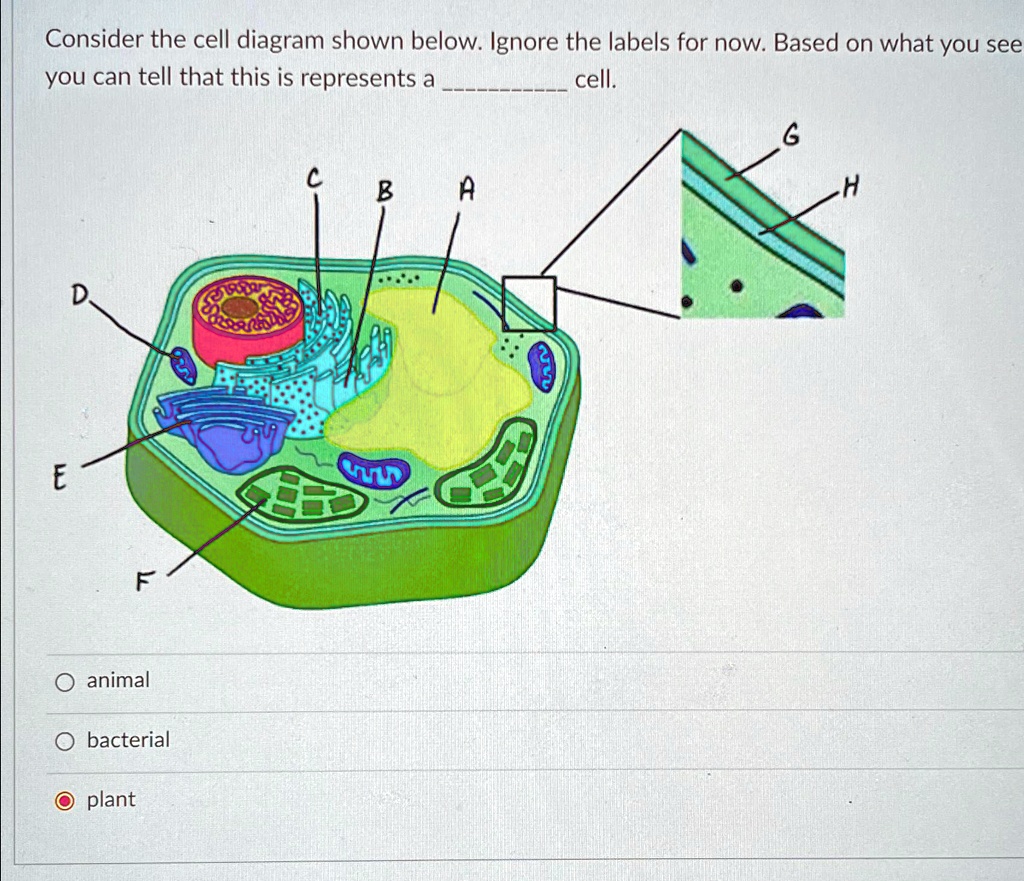 Consider the cell diagram shown below. Ignore the labels for now. Based ...