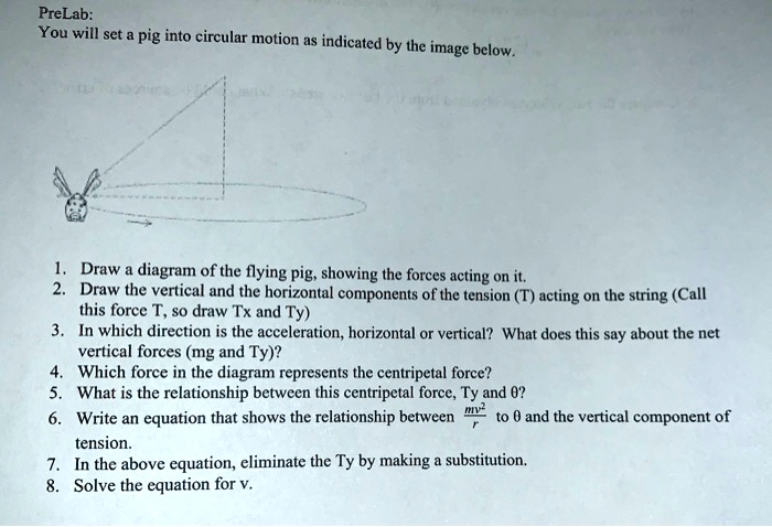 PreLab: You will set a pig into circular motion as indicated by the ...
