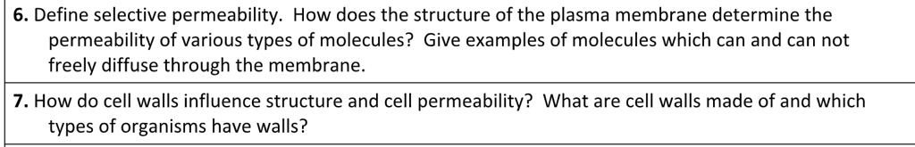 SOLVED: 6. Define selective permeability. How does the structure of the ...
