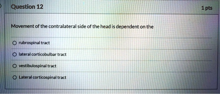 SOLVED: Movement of the contralateral side of the head is dependent on ...