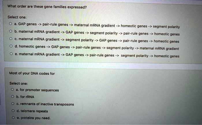 SOLVED: What order are these gene families expressed? Select one: GAP ...