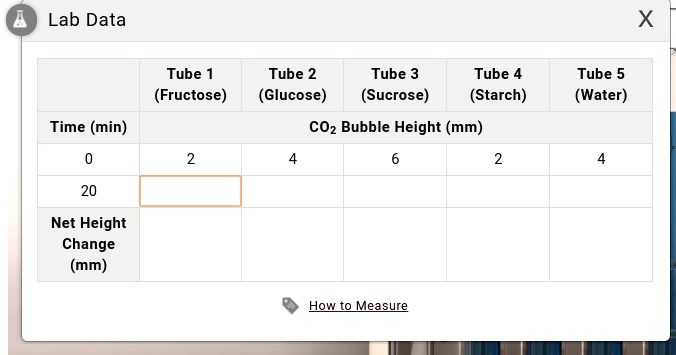 lab data tube fructose tube 2 glucose tube 3 sucrose tube starch tube ...