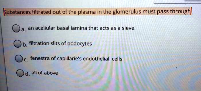 Substances filtrated out of the plasma in the glomerulus must pass ...